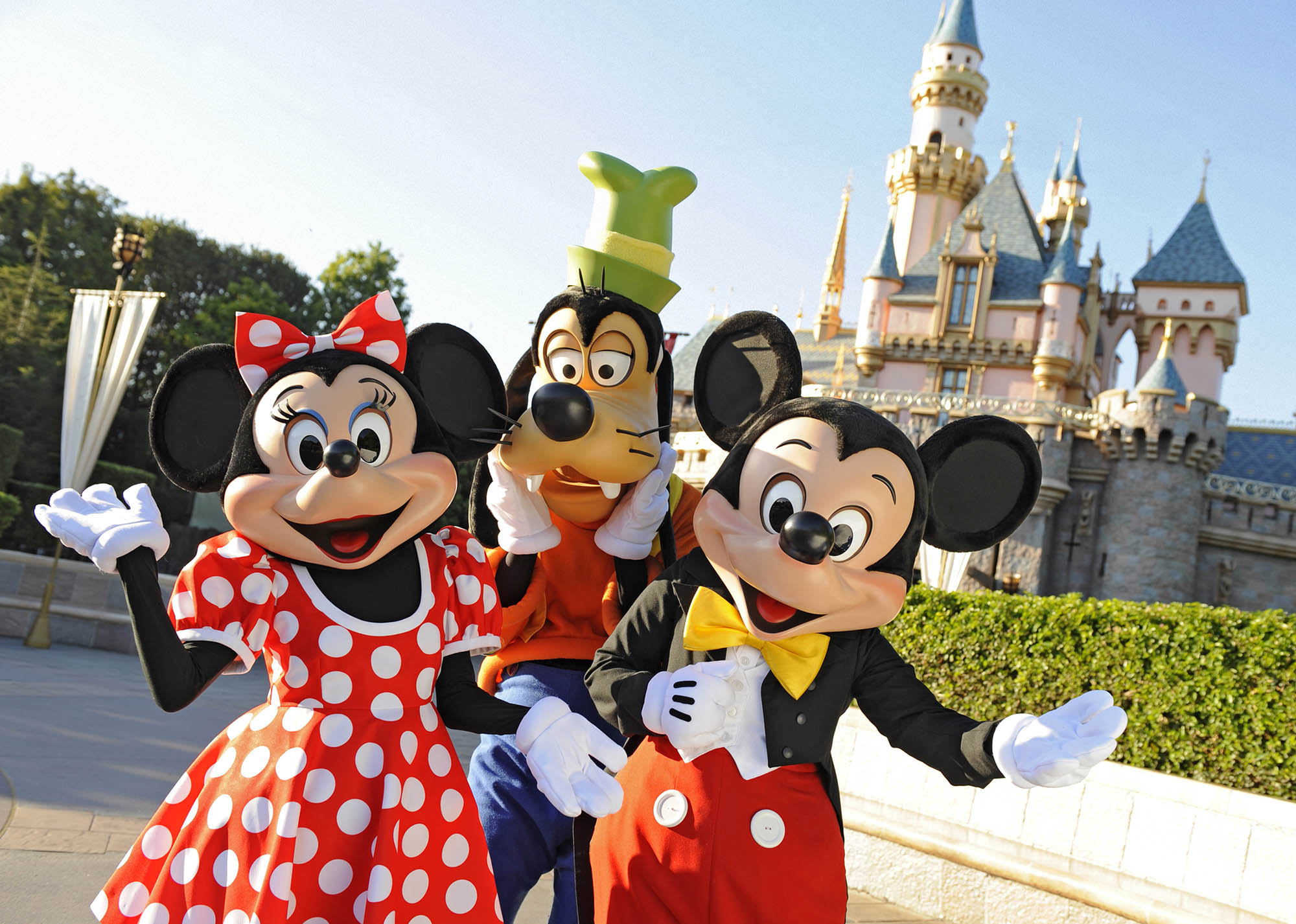 Private transfer by VTC to Disney Land Paris from Orly Airport